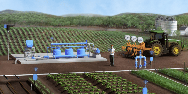 Netafim Services - Netafim