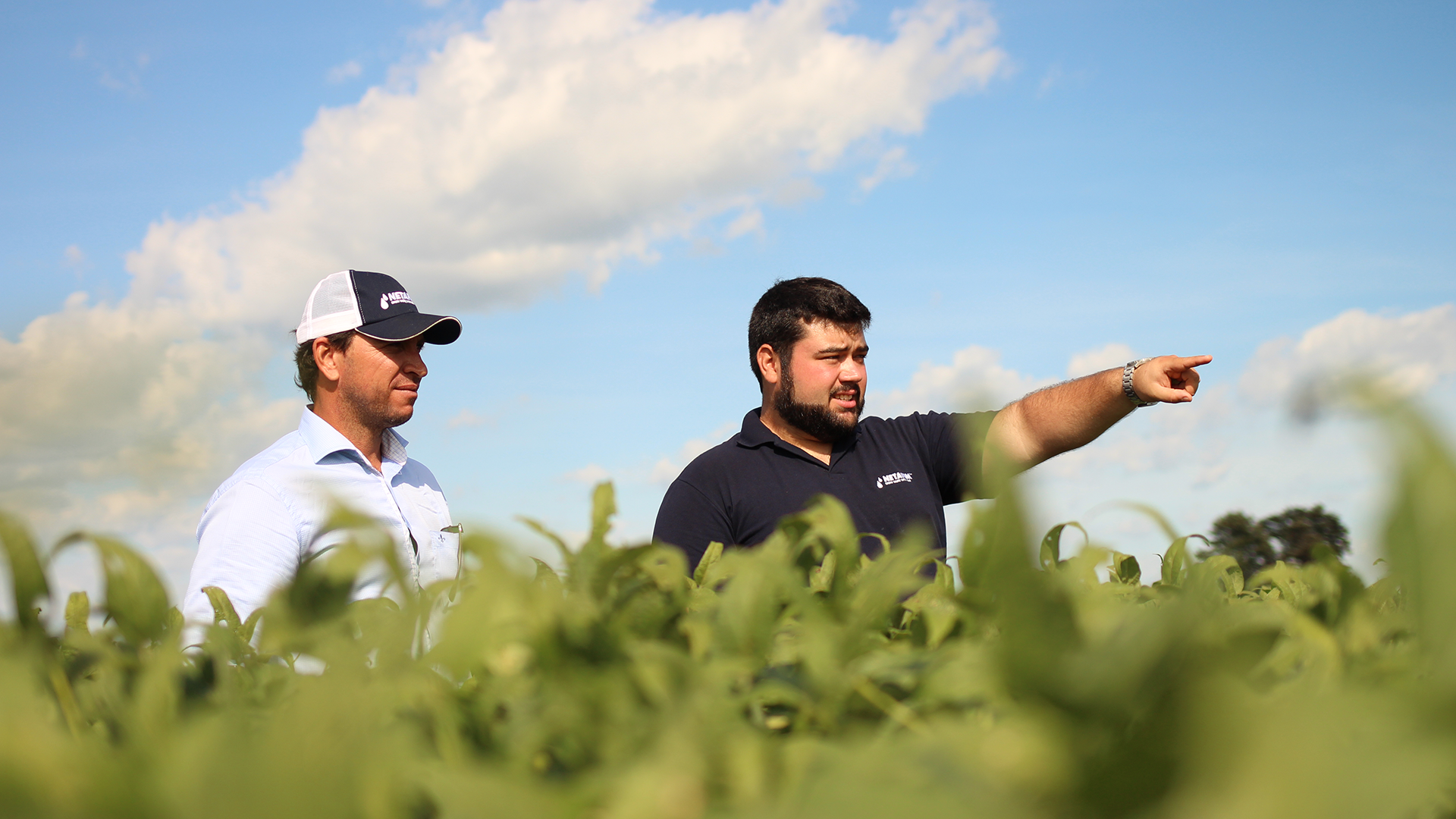 Netafim Services - Netafim